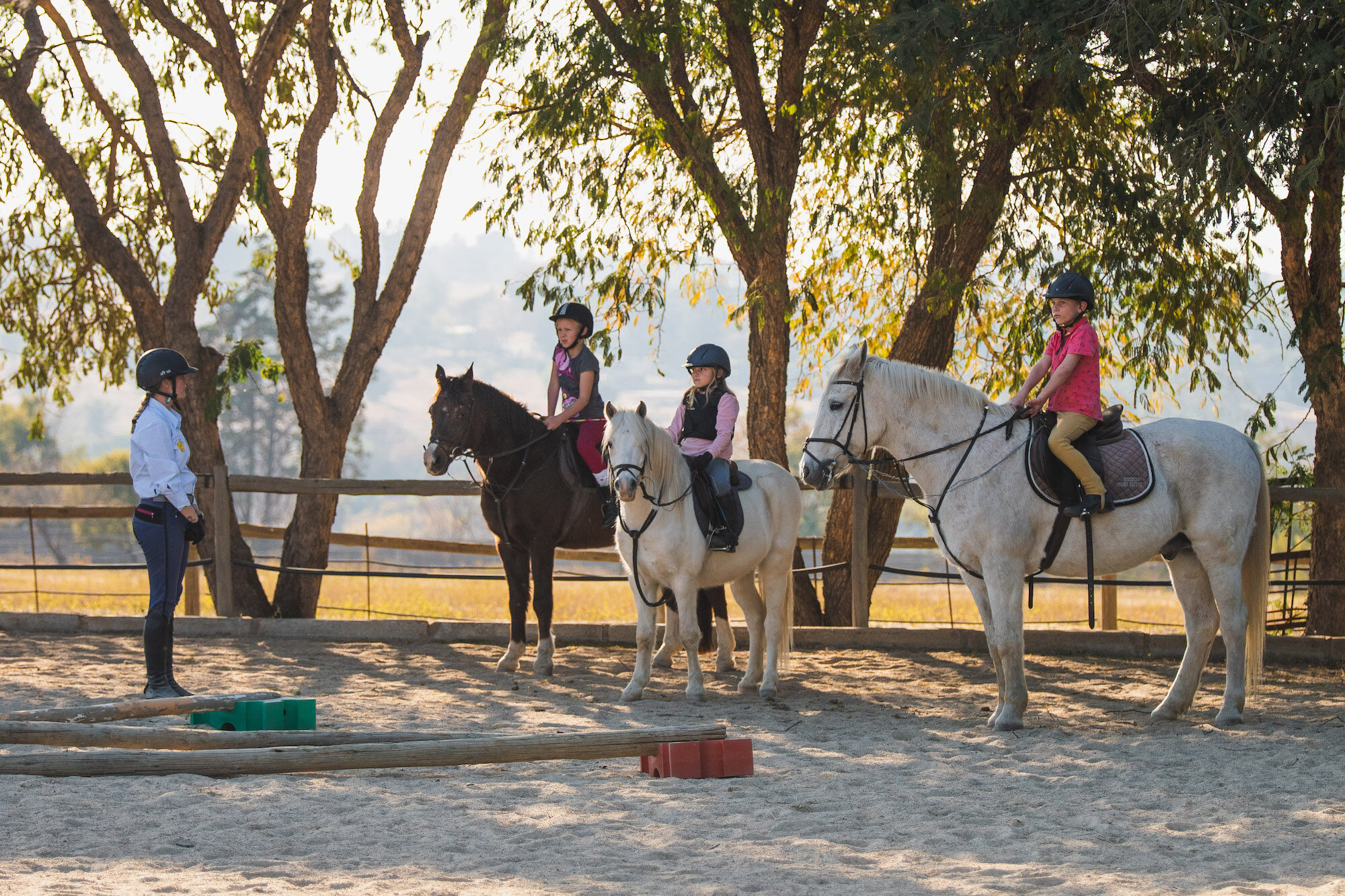 News – Sun Valley Stables