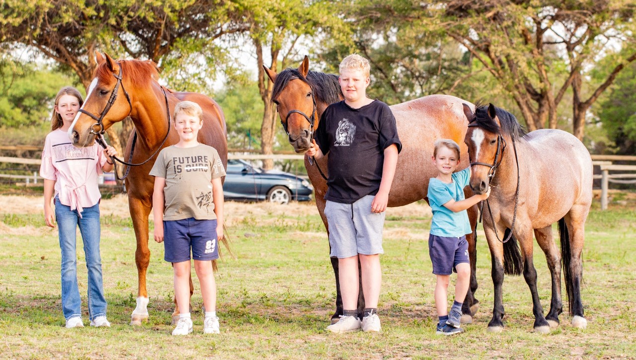 Home - Sun Valley Stables