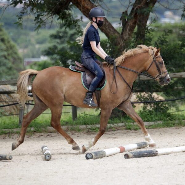 RIDING LESSONS - Sun Valley Stables